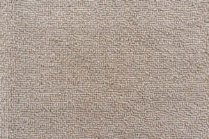 Exploring The Polyester Carpet Pros And Cons - Carpet Majesty