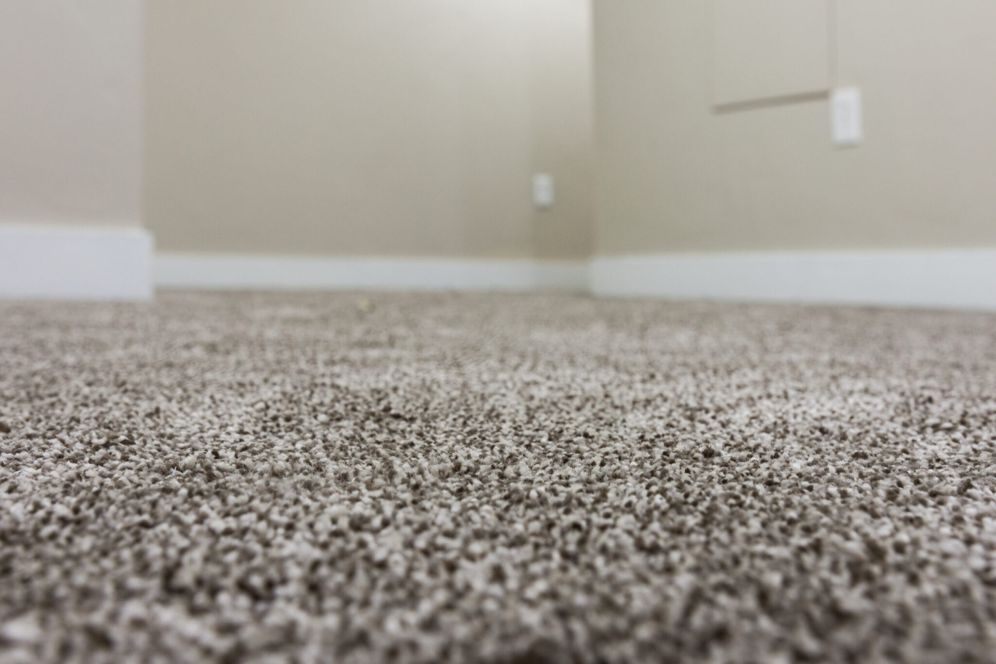 Exploring The Polyester Carpet Pros And Cons - Carpet Majesty