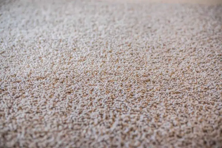 Exploring The Polyester Carpet Pros And Cons - Carpet Majesty