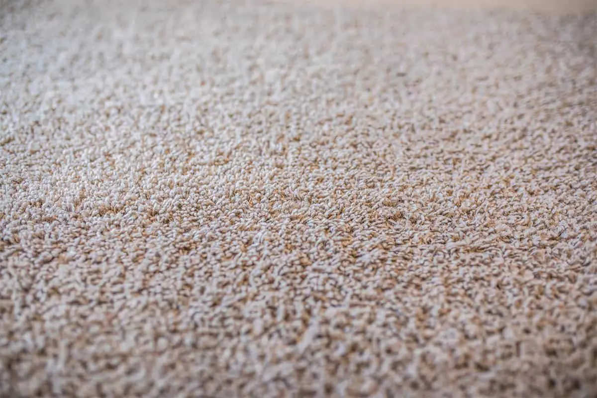 Exploring The Polyester Carpet Pros And Cons - Carpet Majesty