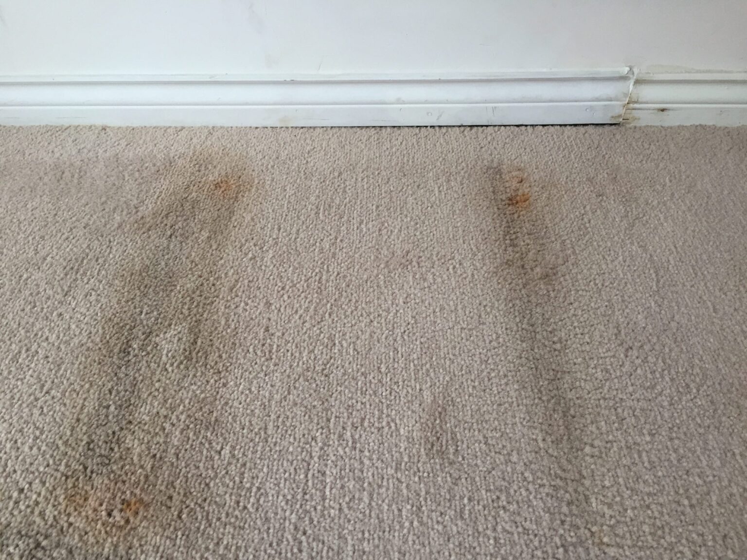 Understanding Common 6 Types Of Carpet Damage - Carpet Majesty