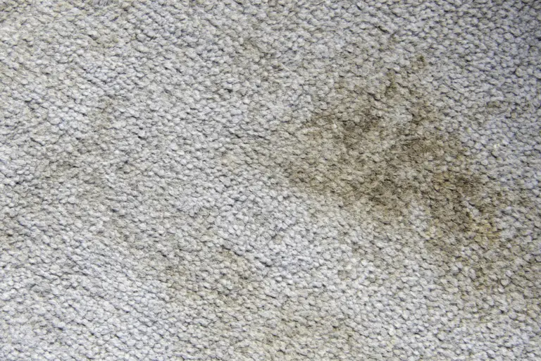 Understanding Common 6 Types Of Carpet Damage - Carpet Majesty