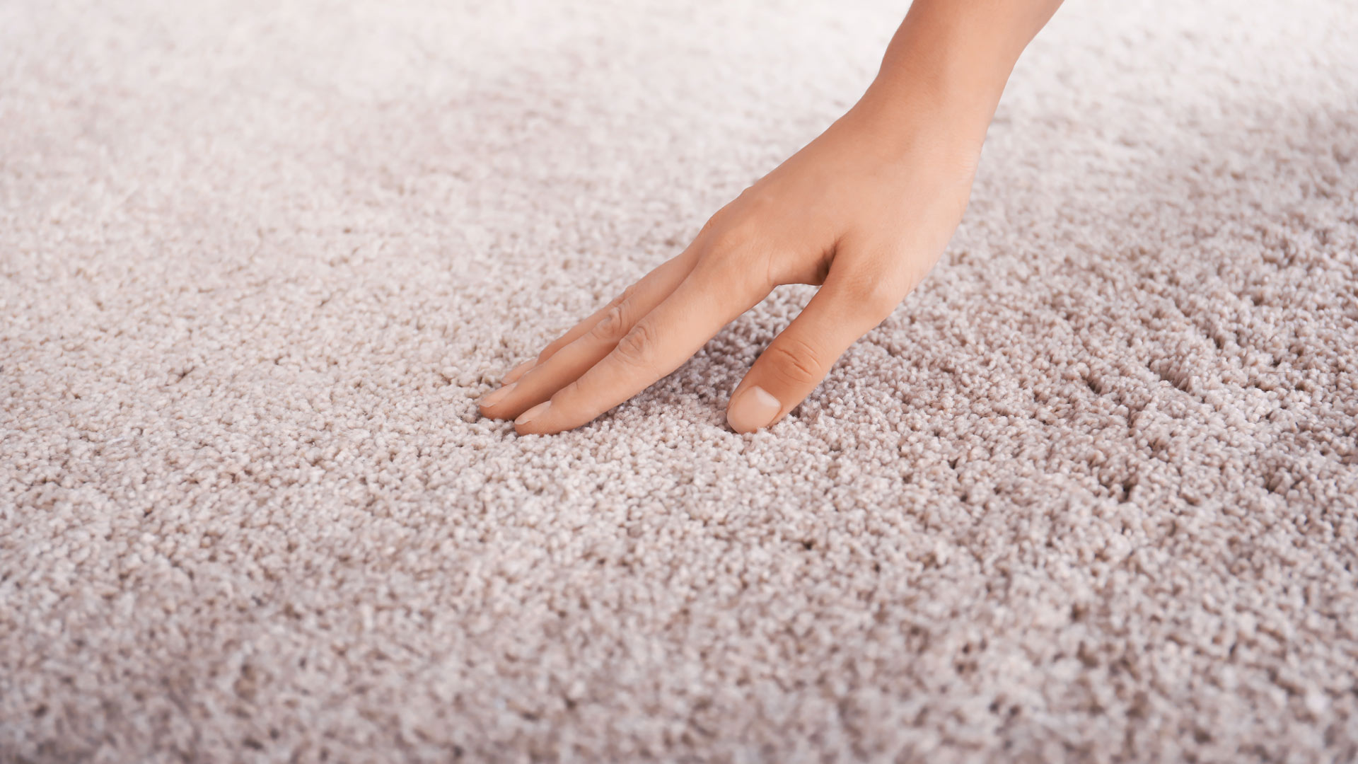 Assessing the Olefin Carpet Pros And Cons - Carpet Majesty