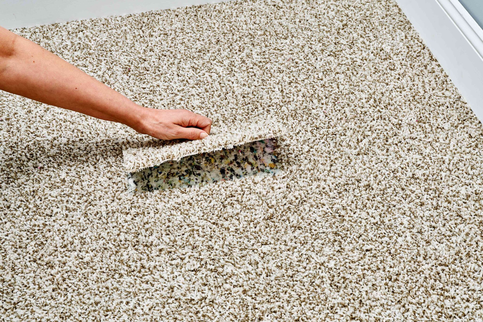 Burned Carpet? Here's How to Fix Cigarette Burns in Carpet Easily ...