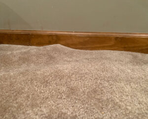 Carpet Ripples and Buckling: Causes, Solutions & Prevention - Carpet ...