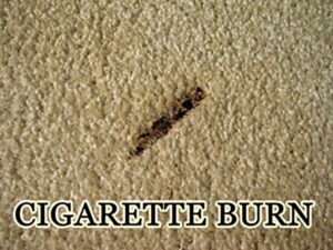 Burned Carpet? Here's How to Fix Cigarette Burns in Carpet Easily ...
