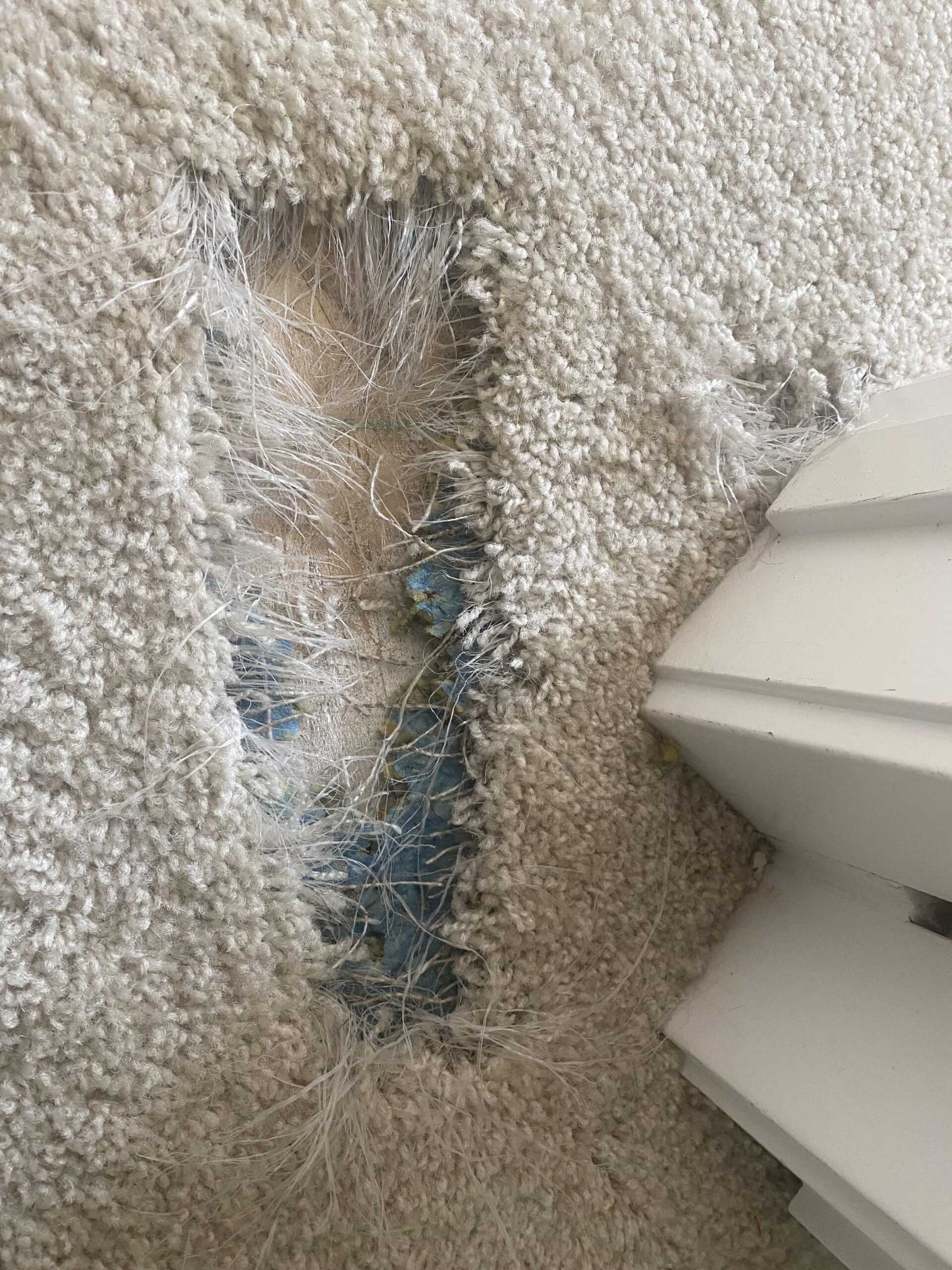 Clever Carpet Repair: How to Fix a Hole in Carpet Without Extra Carpet ...